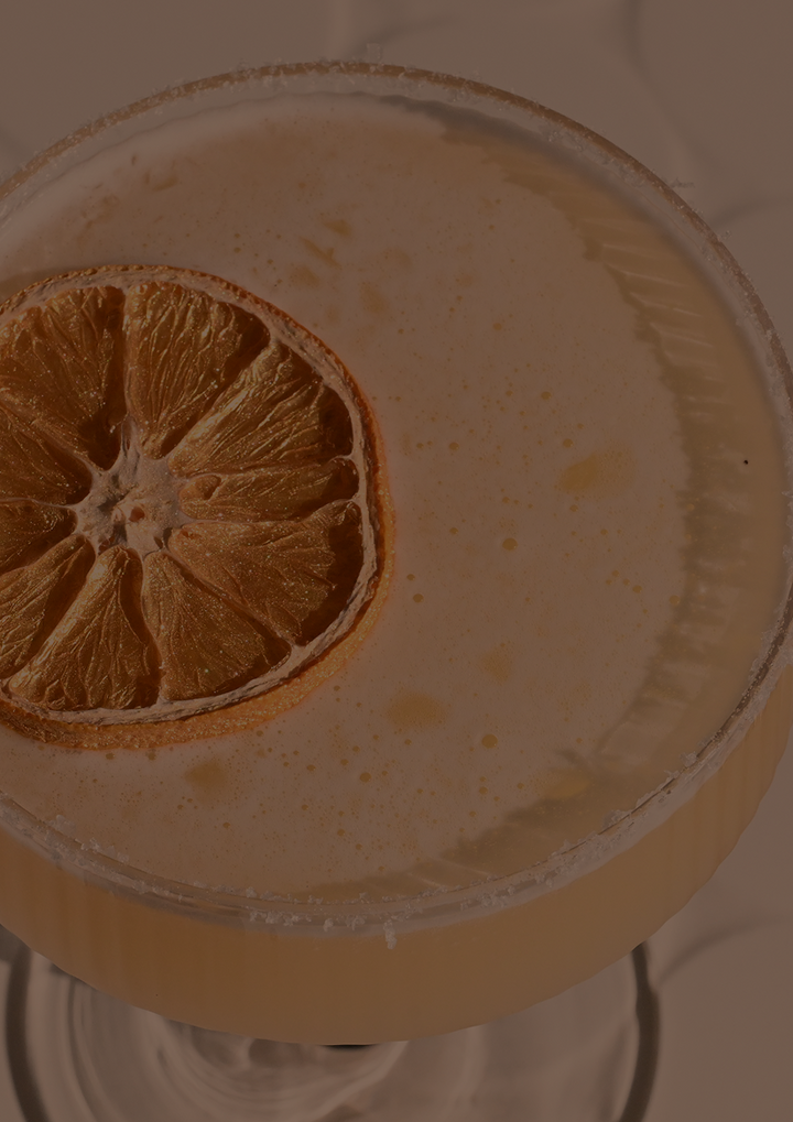 Premium Cocktail Garnishes & Dehydrated Fruit Australia | Mixso – Page 2